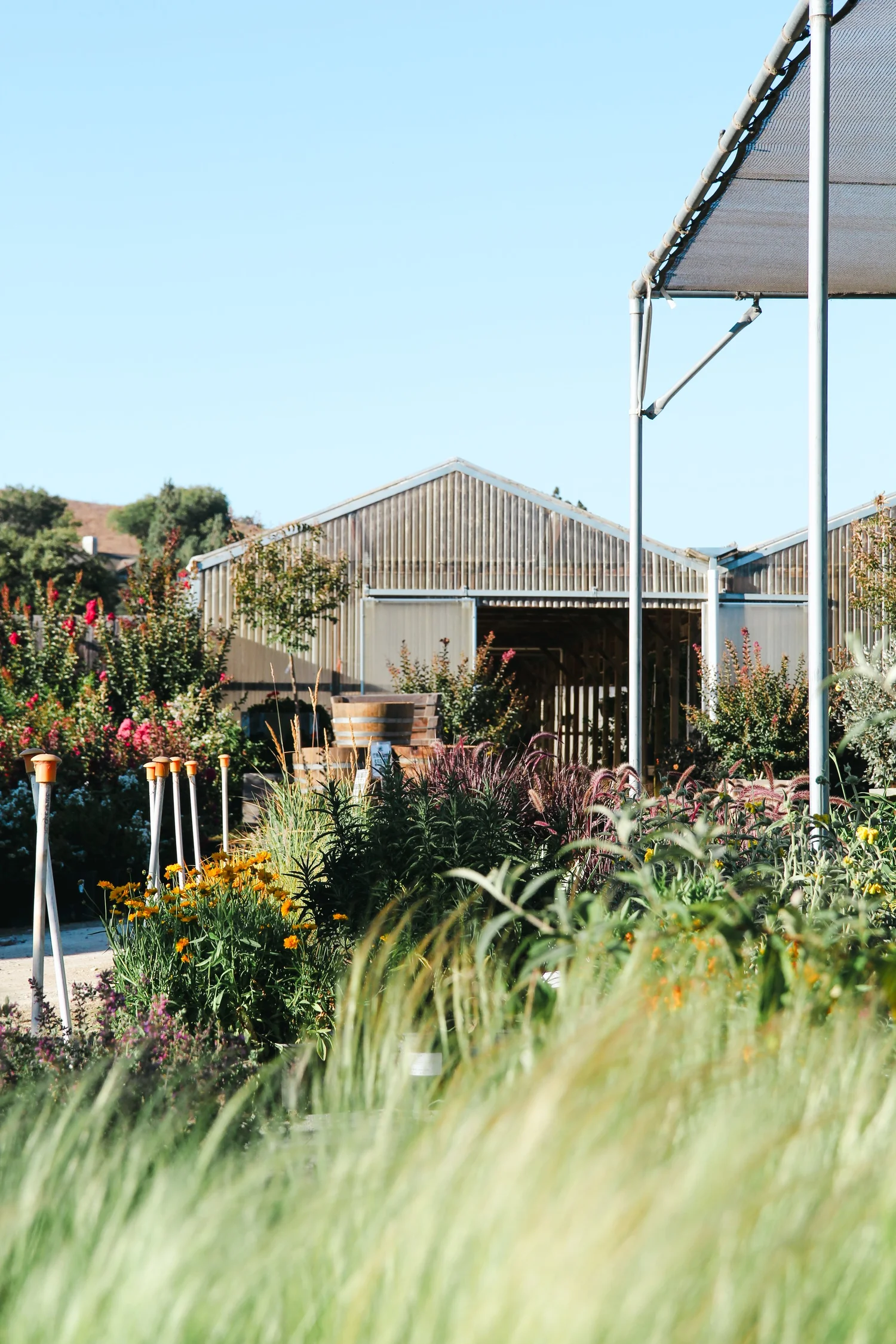 WINDMILL NURSERY