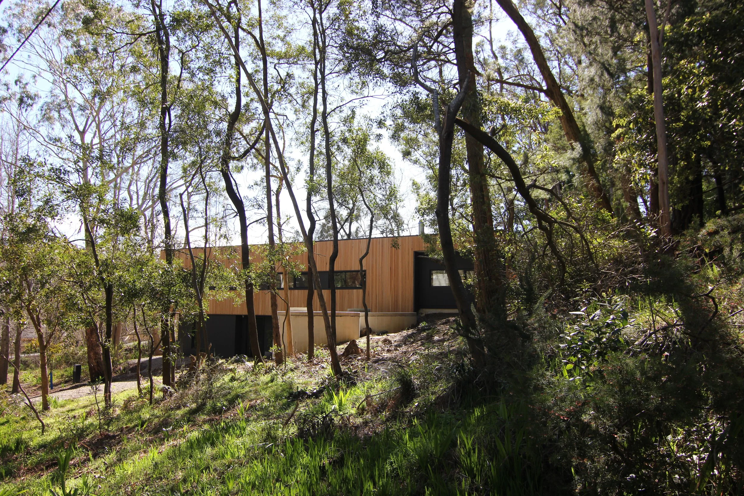 Goodhouse, open up to possibility