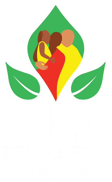 Our Story — ETSS- Ethiopian Tewahedo Social Services