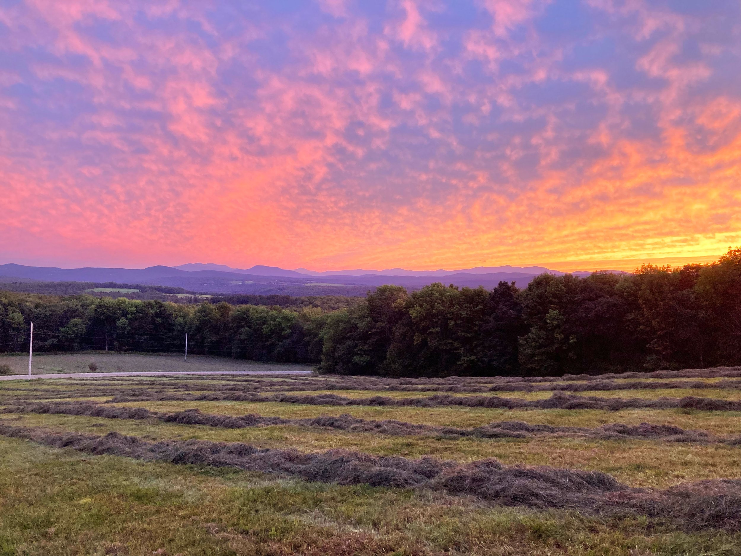 Farm — Sweet Rowen Farmstead