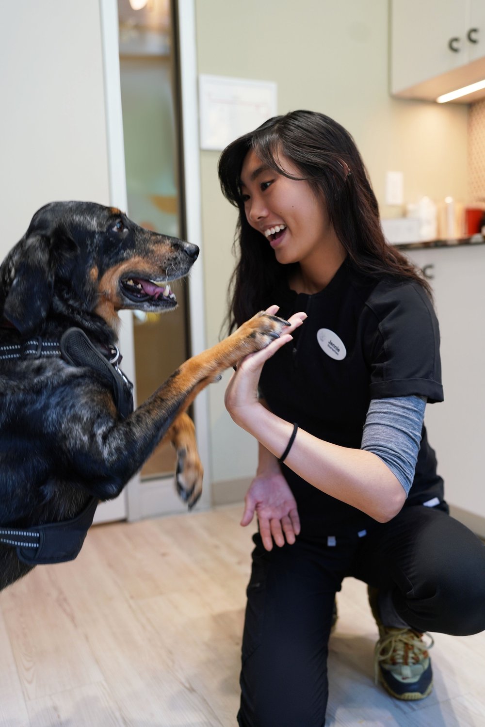 Top Veterinary Care in Jersey City | Sage Vet Center