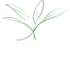 Annual & Preventative Health Care — Sage Vet Center