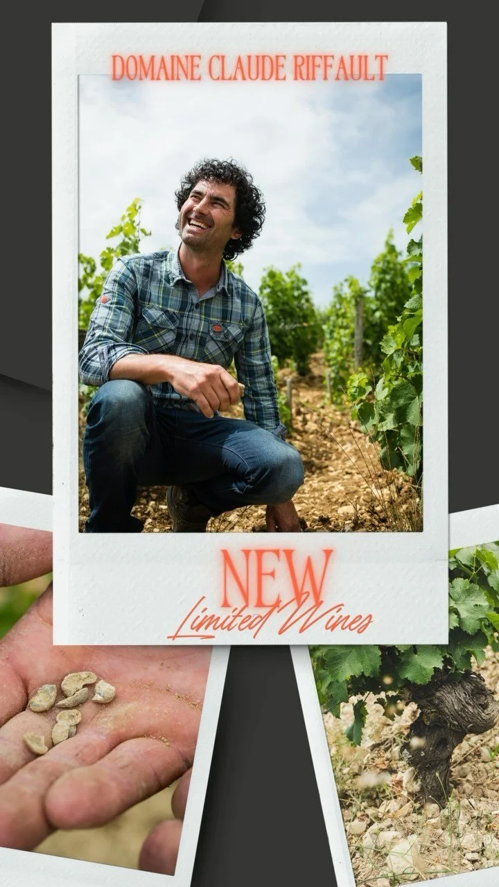 George's Distributing