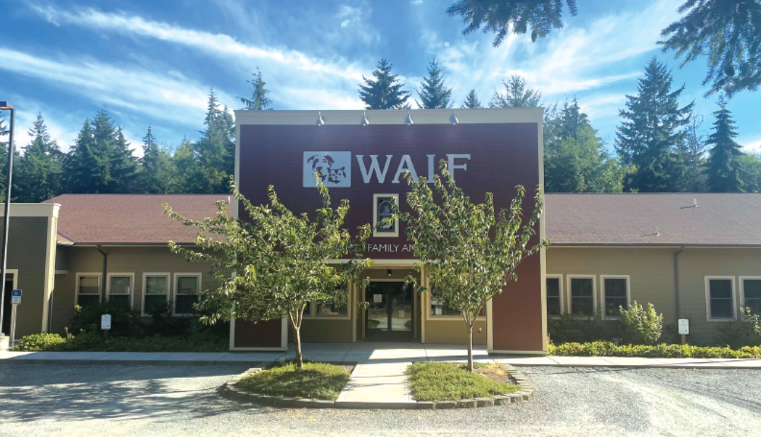 WAIF Endowment Foundation