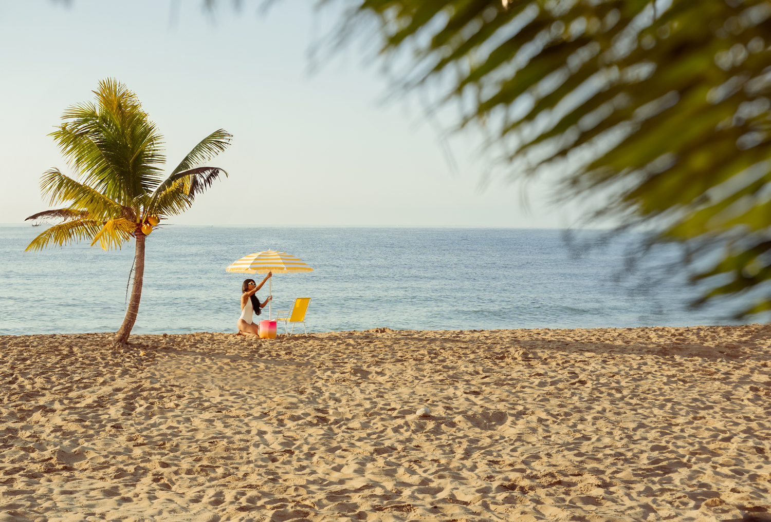 Beachcomber Budds