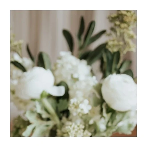 About — Abigail James