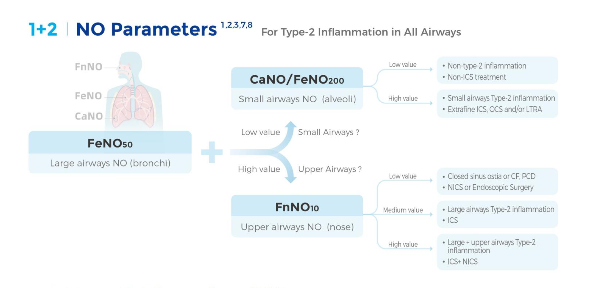 Patient-Hospital Community | Why is Asthma Prevention and Treatment ...