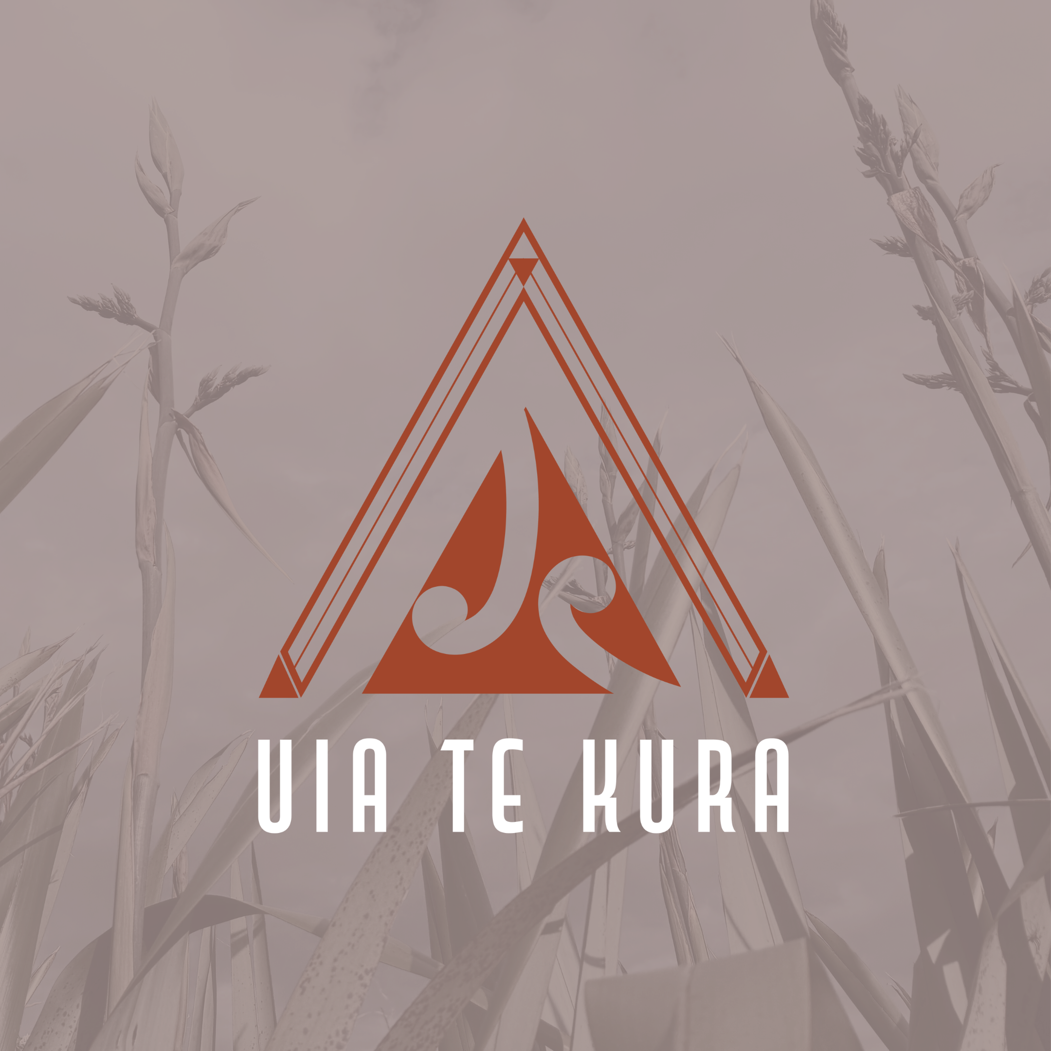 Uia Te Kura: The Story Behind the Name, Tohu, and Colours — Uia Te Kura