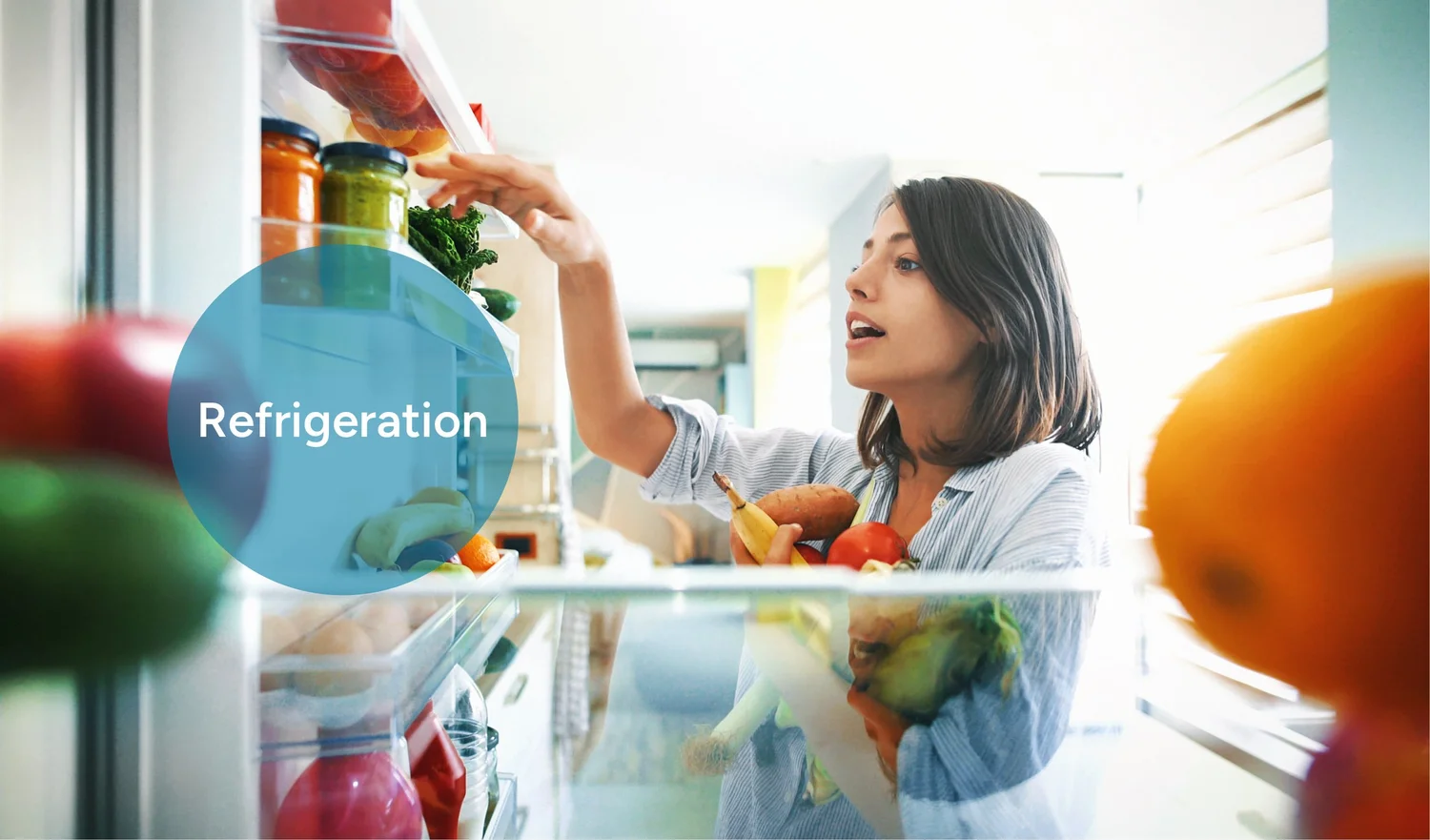 Fridge freezers, larder fridges and freezers — Sensis