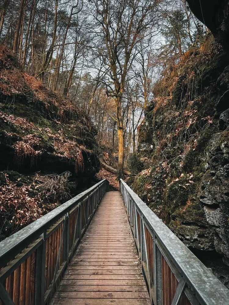 Mullerthal Trail Route 2 | Wandelen in Luxemburg — WoudWise