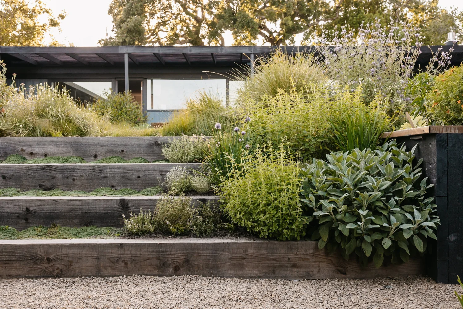 Mid-Century Wild | Discover Natural Elegance — Explore Now — Christian ...