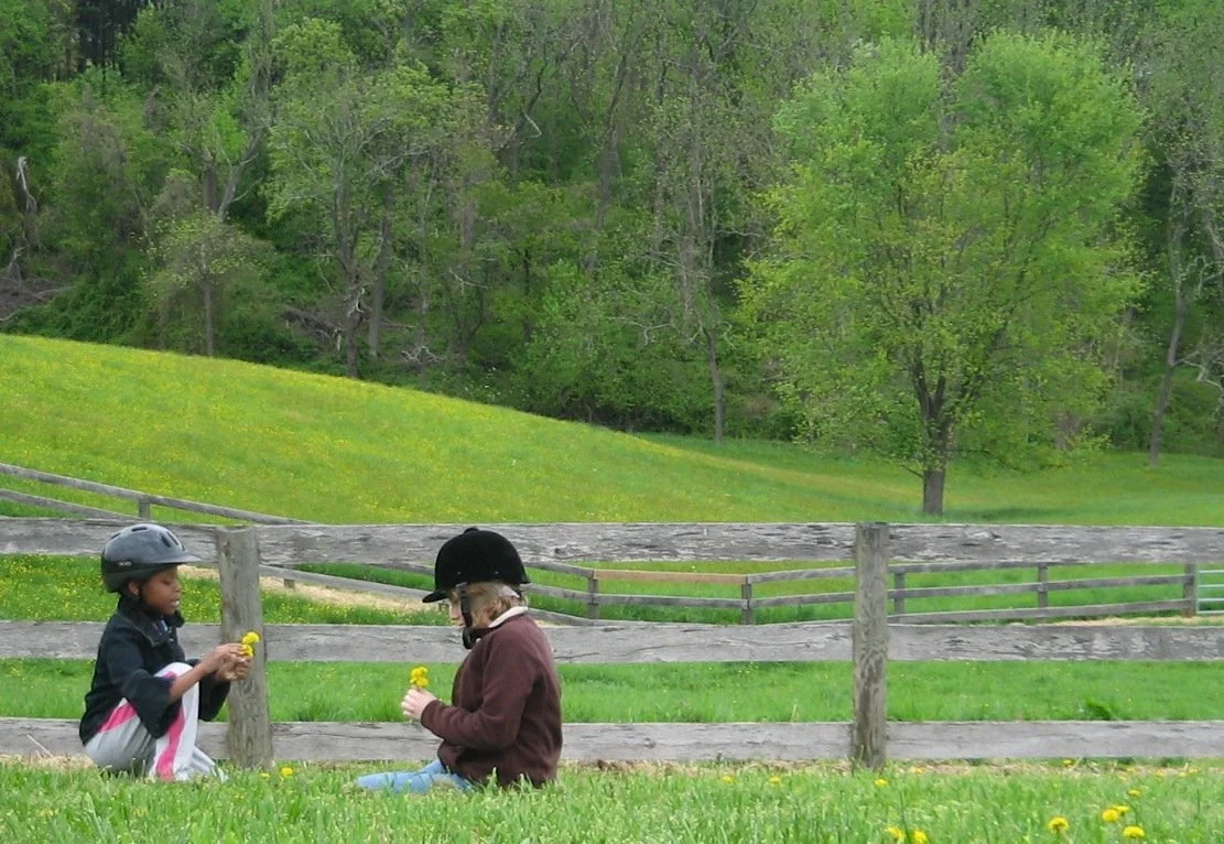 Your Stable Place — Rose of Sharon Equestrian School