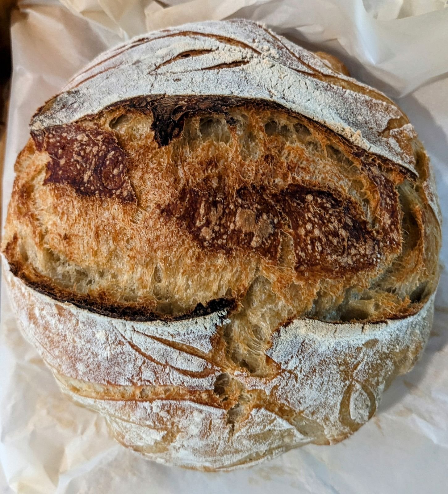 Sprouting Life Garden