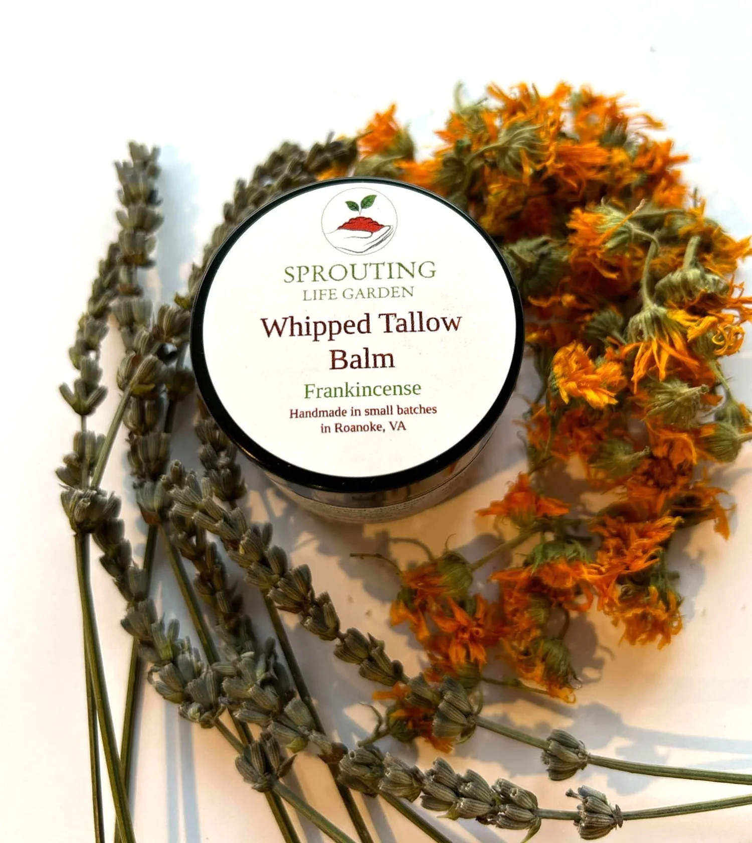 Sprouting Life Garden