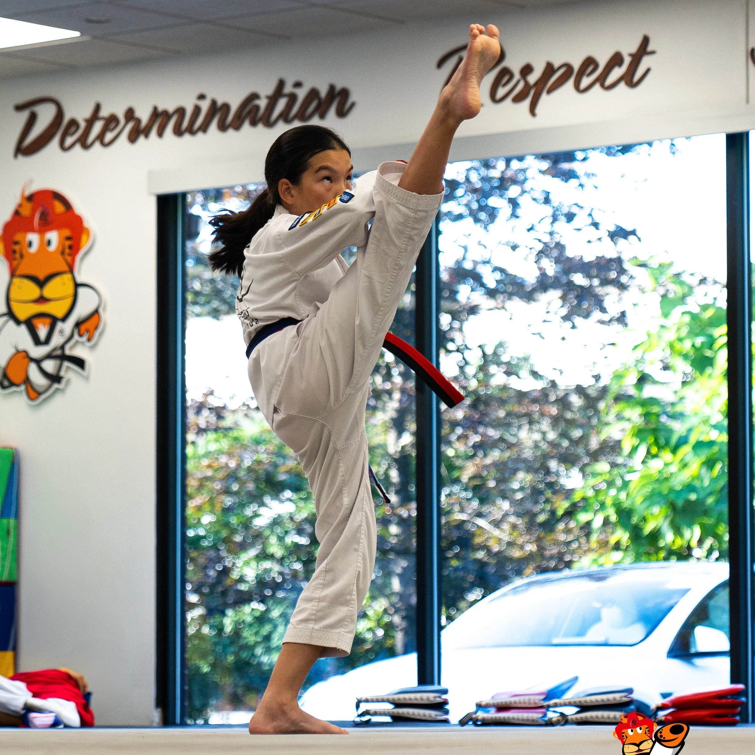 Apex Tigers Martial Arts Taekwondo