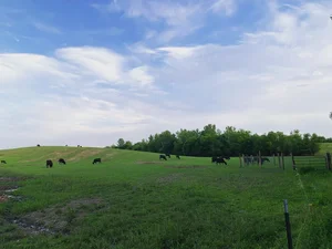 The Farms of Illinois | Collective of Organic Farmers