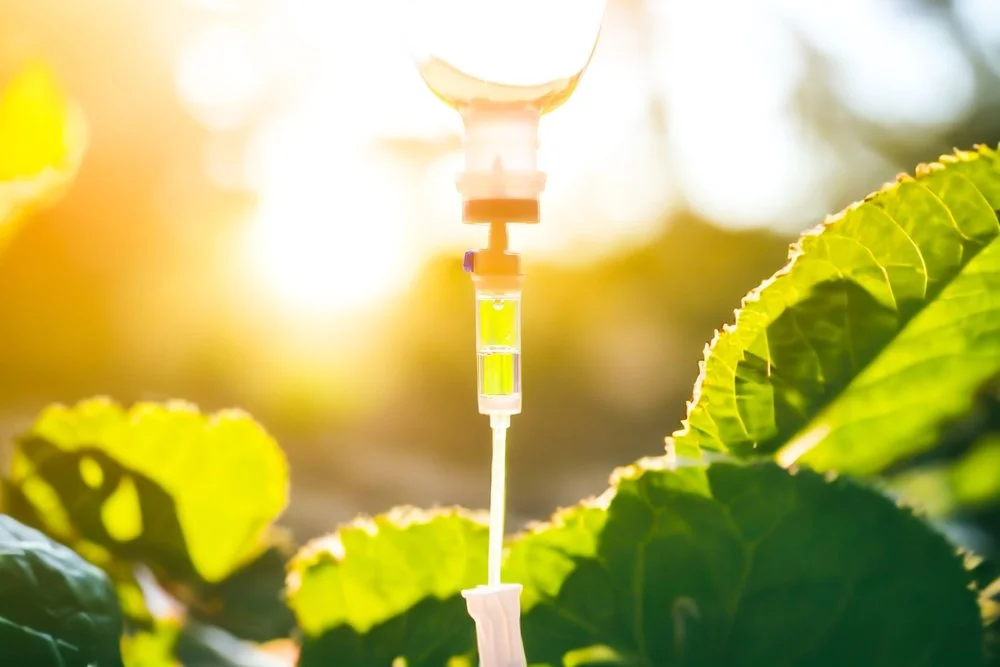 IV Hydration — Recharged Functional Wellness IV Clinic