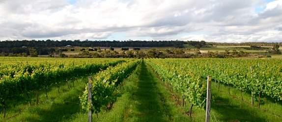 Barrel Farm | Discover and Enjoy Barrel Farm