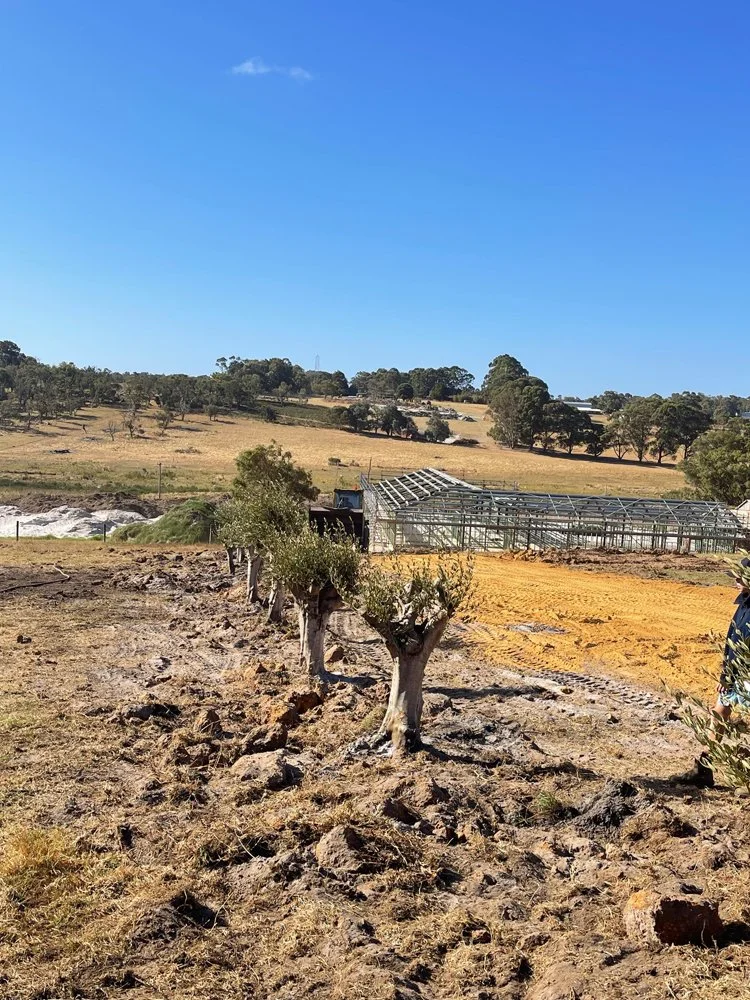About — Barrel Farm
