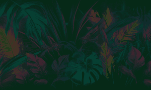 Menu — Lush Rooftop, Bar & Restaurant Keilor park | Pizza | Function ...