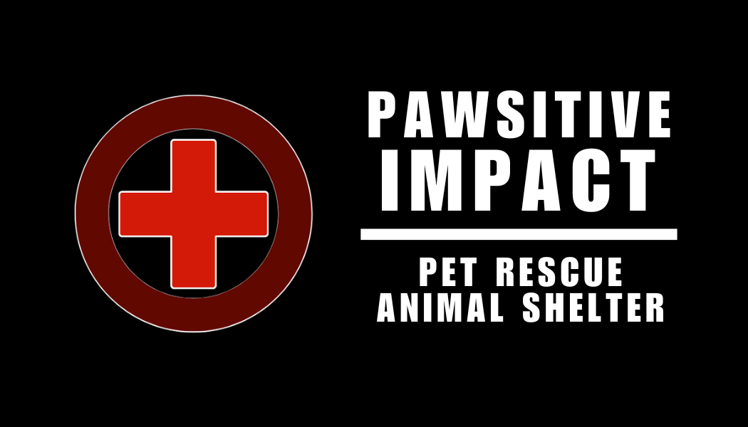 Pawsitive Impact