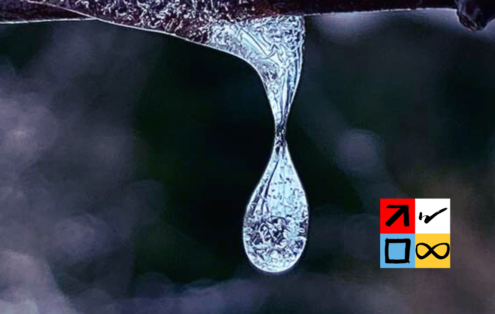 FEBI Assessment — Institute for Zen Leadership