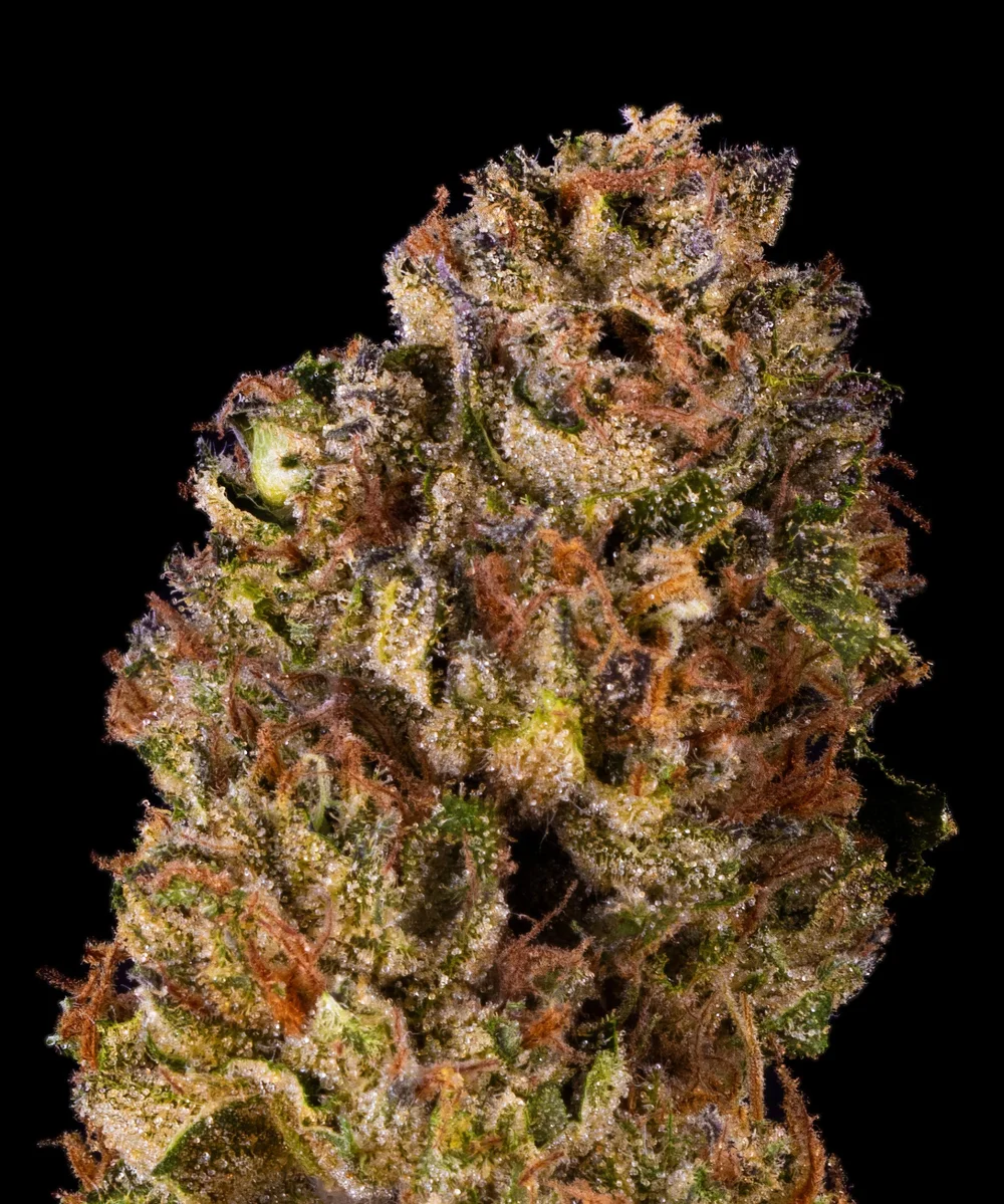 White Runtz | Indica Flower | Cultivated in Small Batches — Ithaca ...