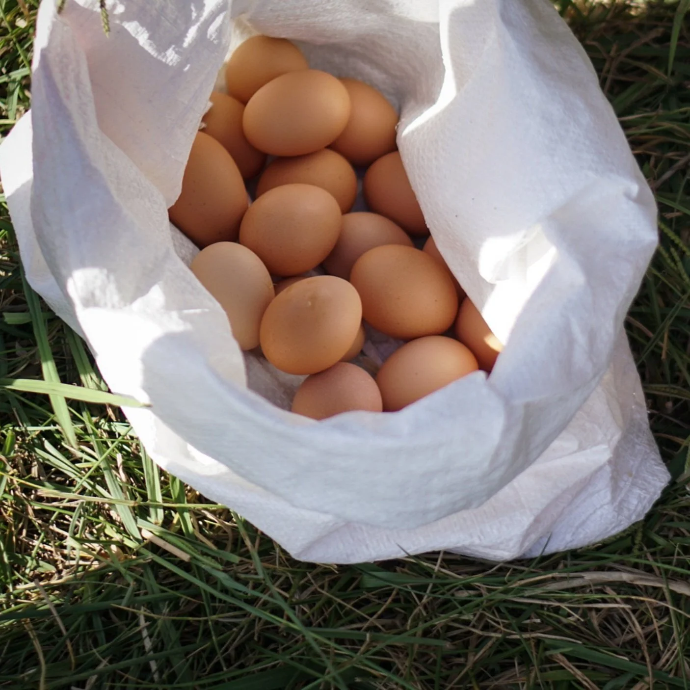 Products | Grass-Fed & Finished Beef | Woodlands Pastured Pork | Farm ...