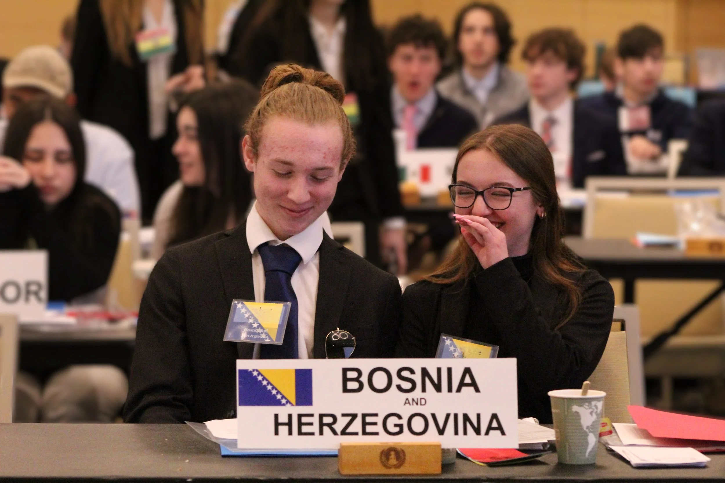 What is Model UN? — TU-BCPS Model United Nations