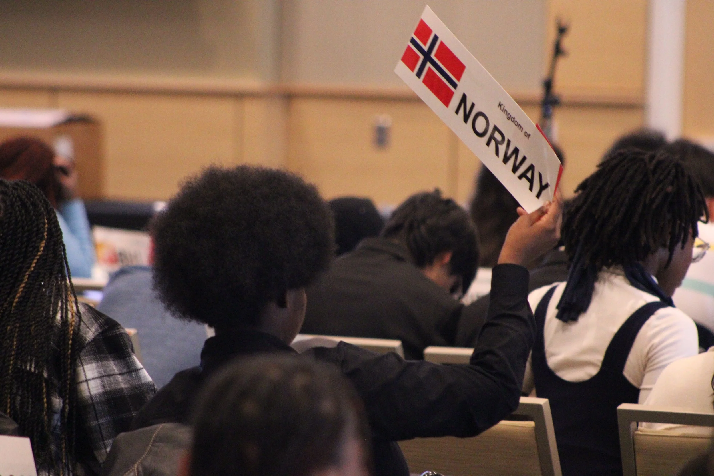 Resolutions — TU-BCPS Model United Nations