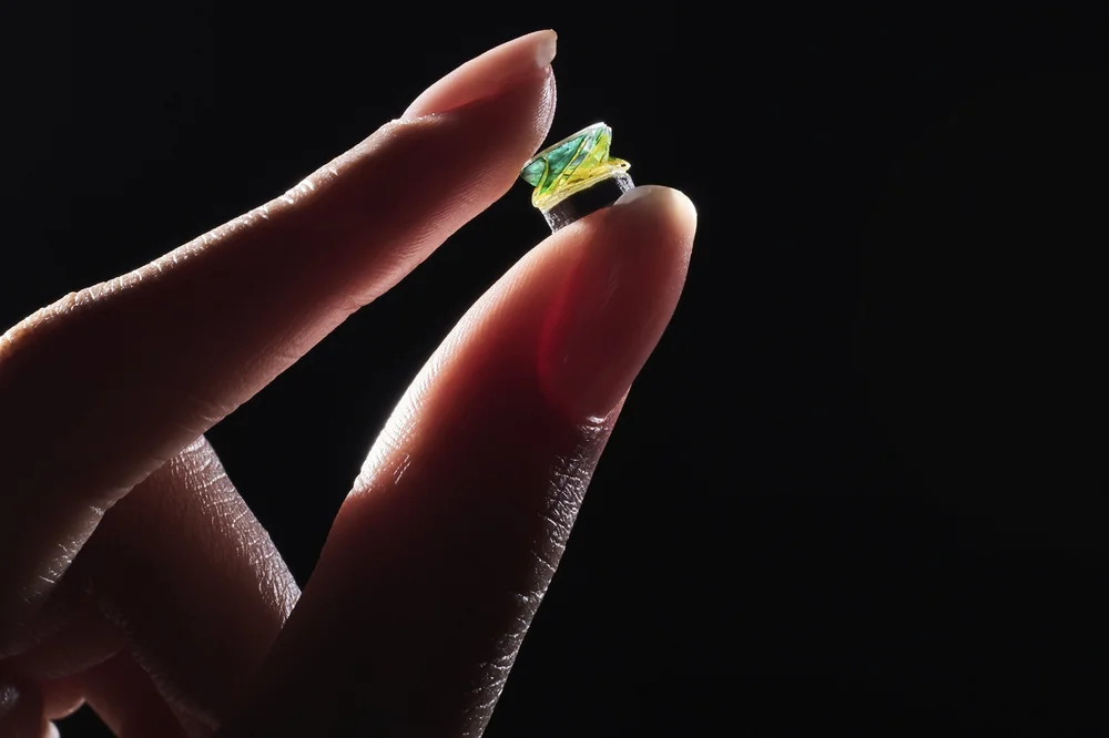 Amphibious Magnetic Origami Robot — Stanford Robotics Center