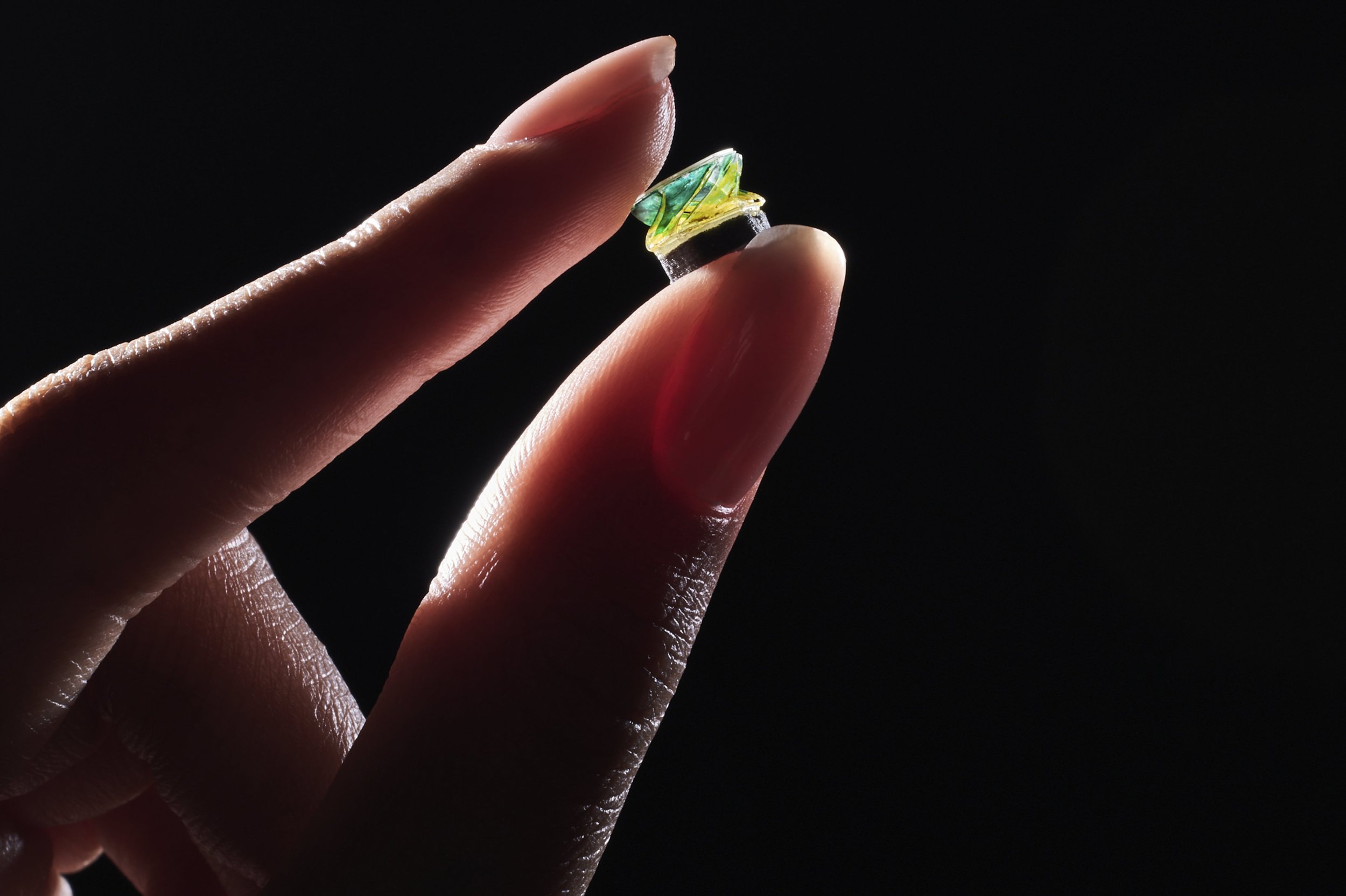 Amphibious Magnetic Origami Robot — Stanford Robotics Center