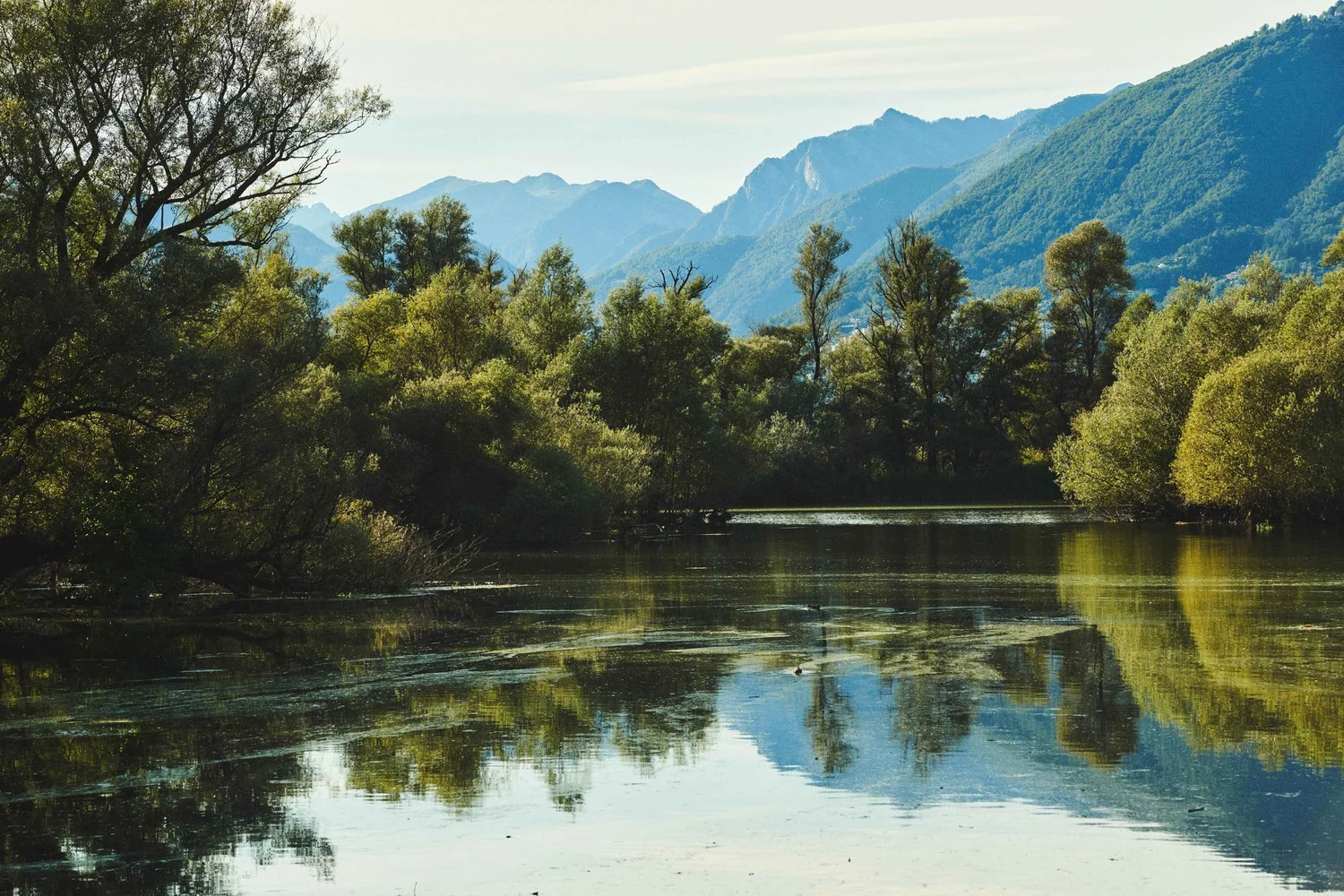 HABITAT Lago Maggiore
