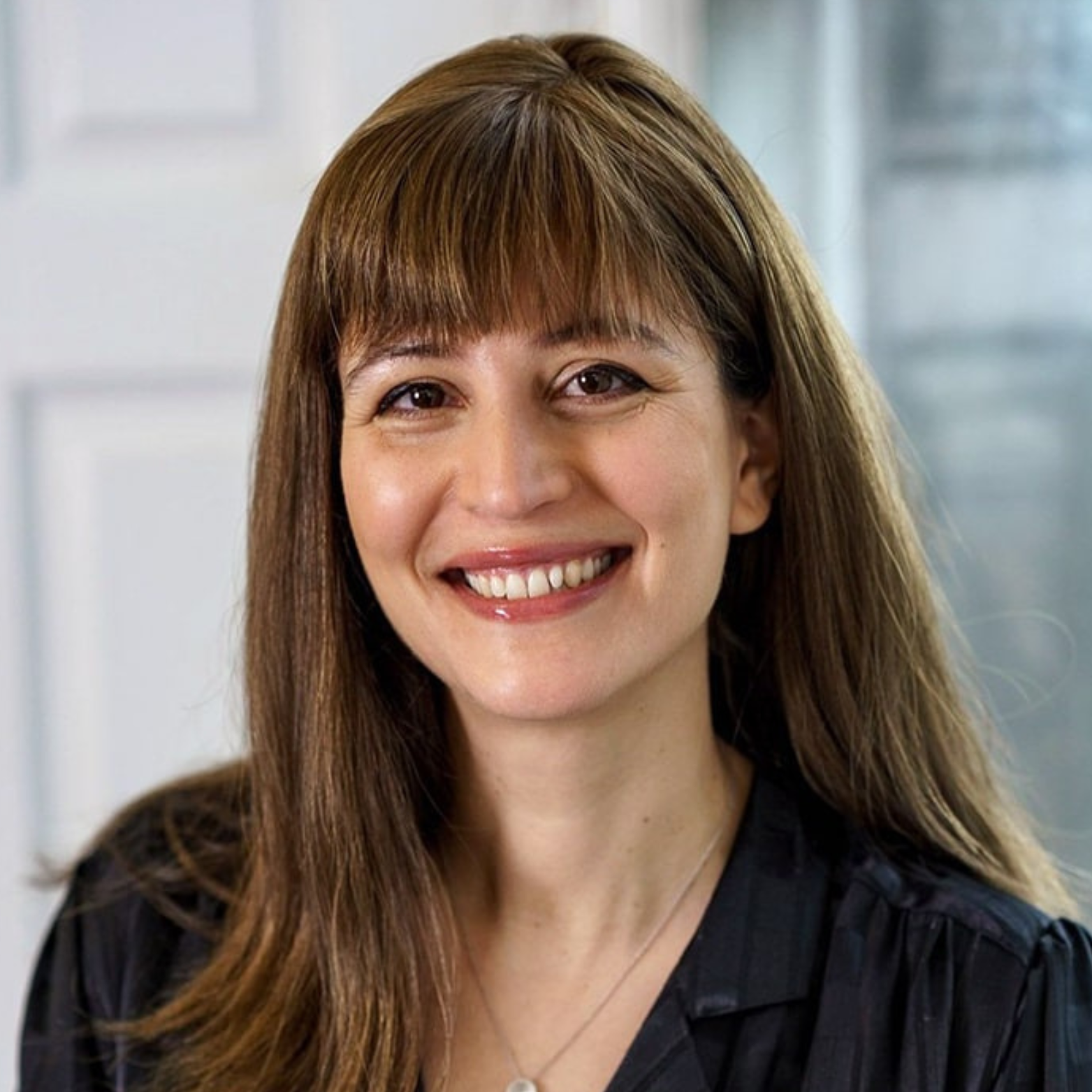 Philosophy for Safe AI — Future Impact Group