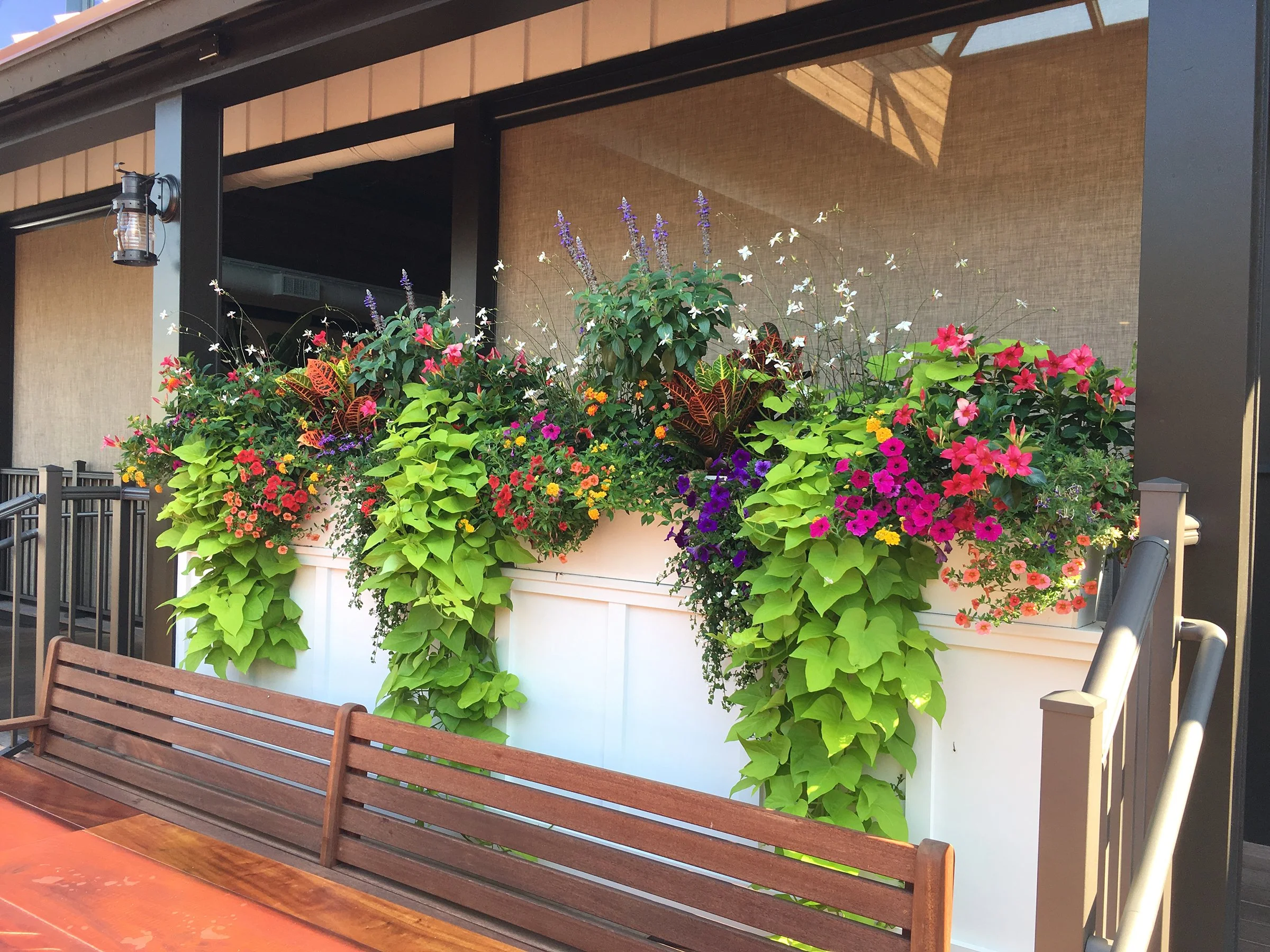 Annual Gardens & Custom Containers on LBI — REYNOLDS LANDSCAPING
