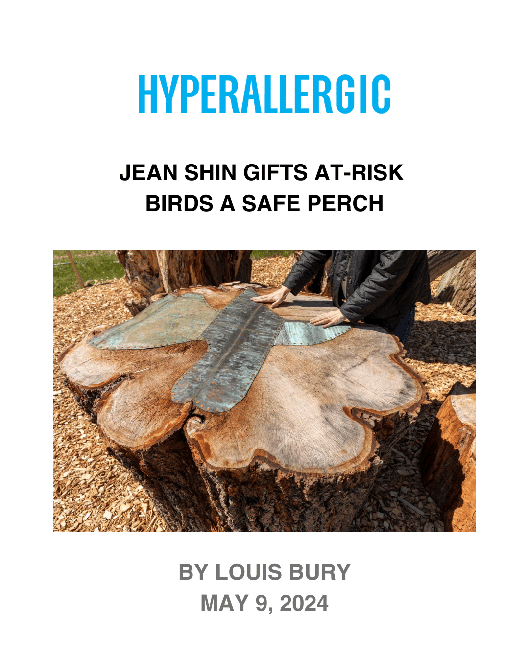 Jean Shin
