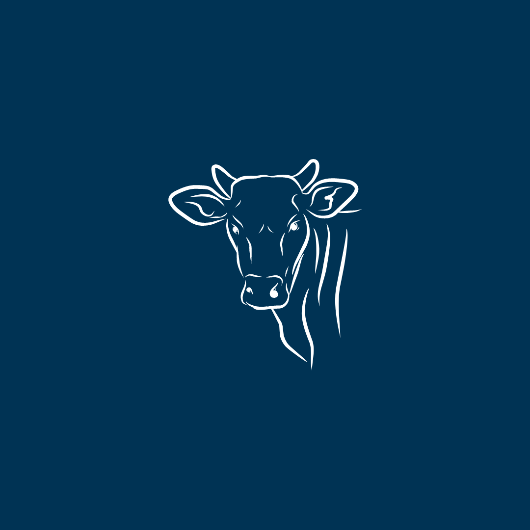 Morpeth Veterinary Hospital