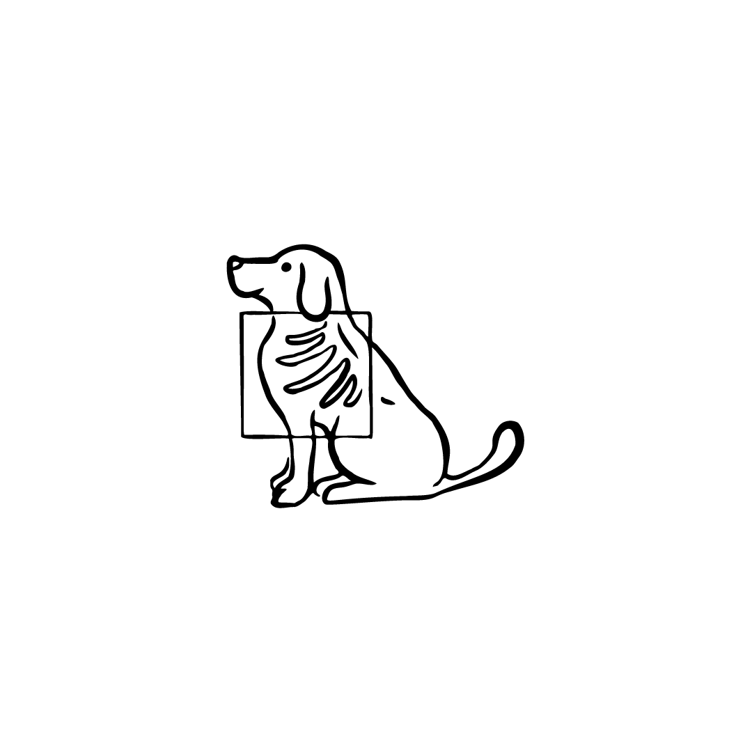 Services — Morpeth Veterinary Hospital