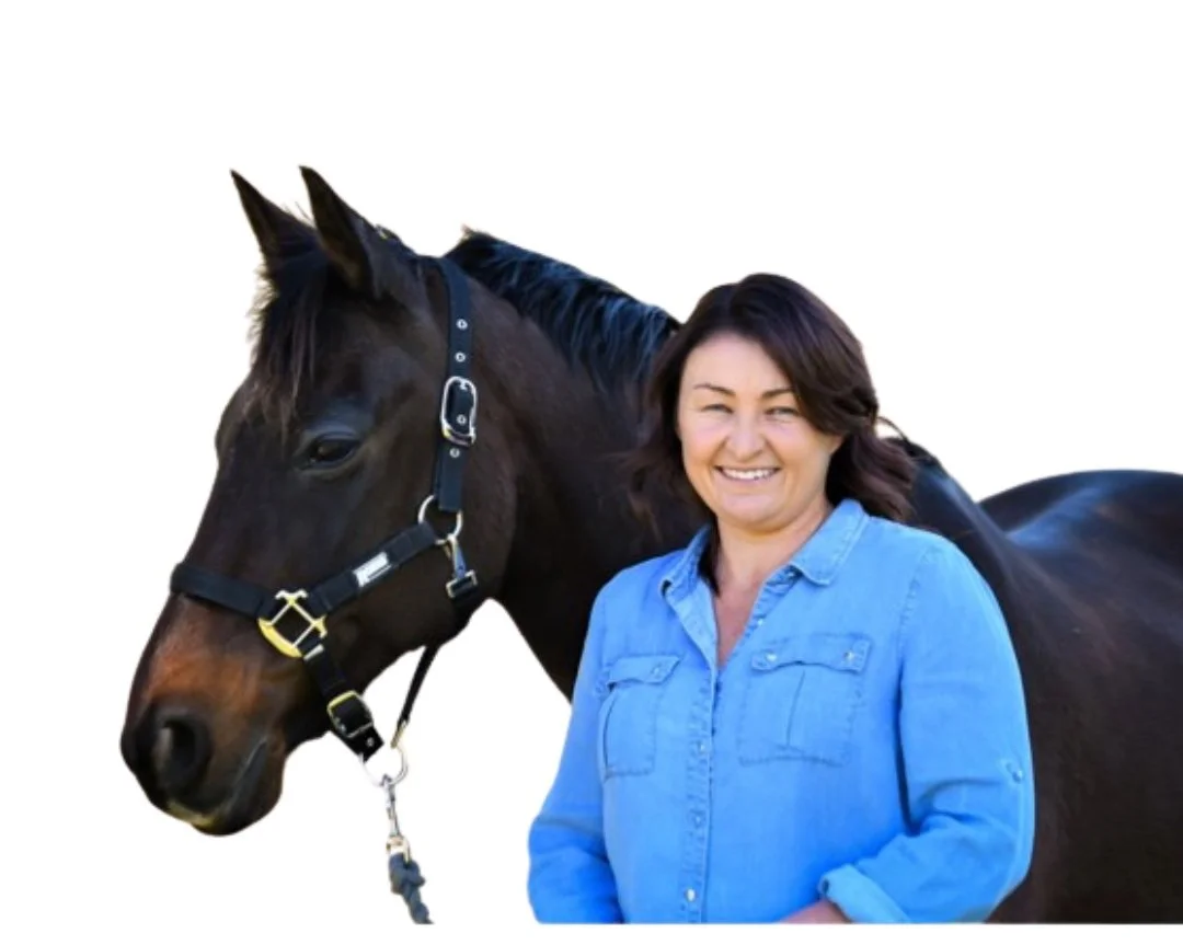 Team — Morpeth Veterinary Hospital