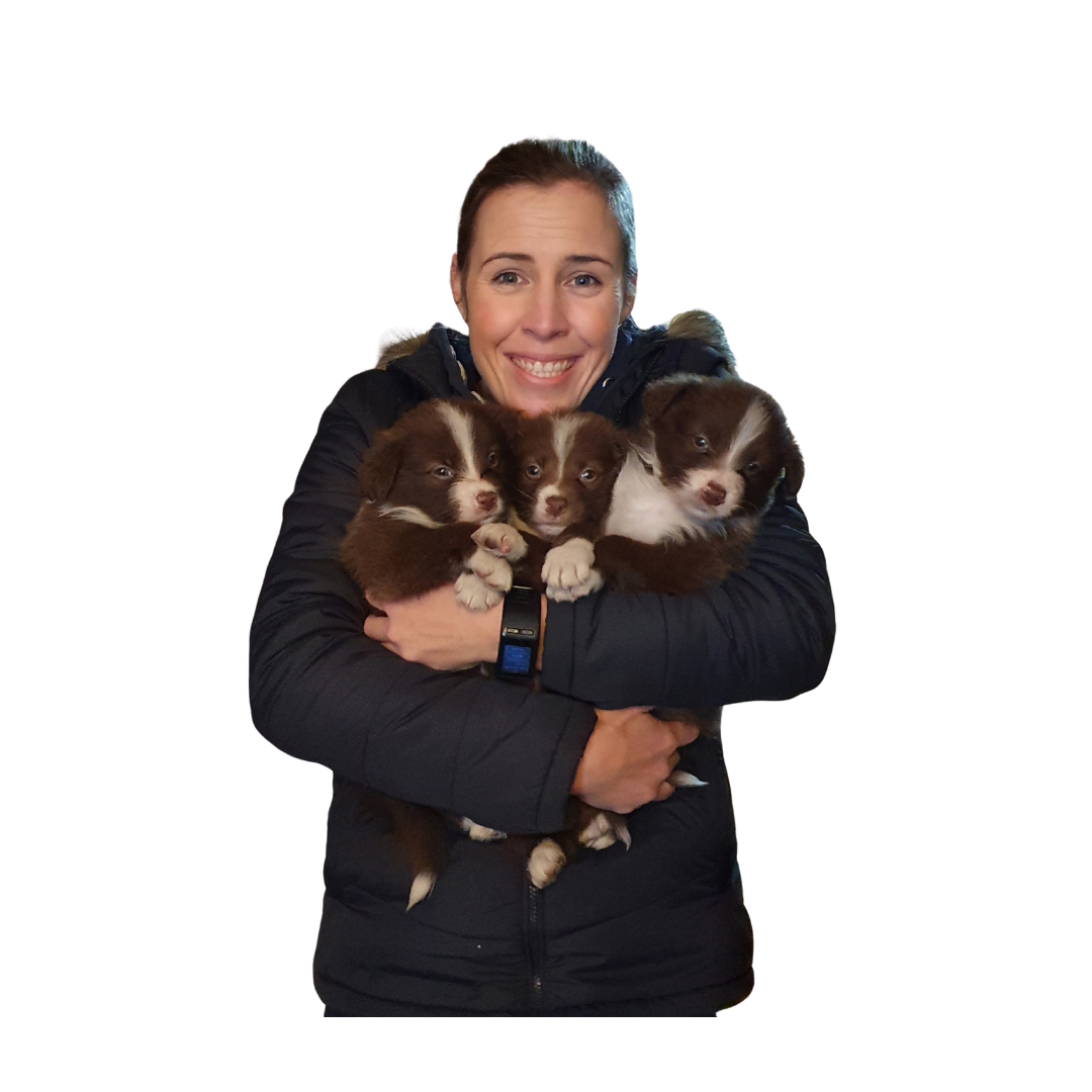 Team — Morpeth Veterinary Hospital