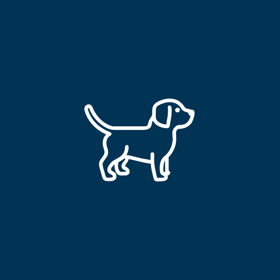 Morpeth Veterinary Hospital