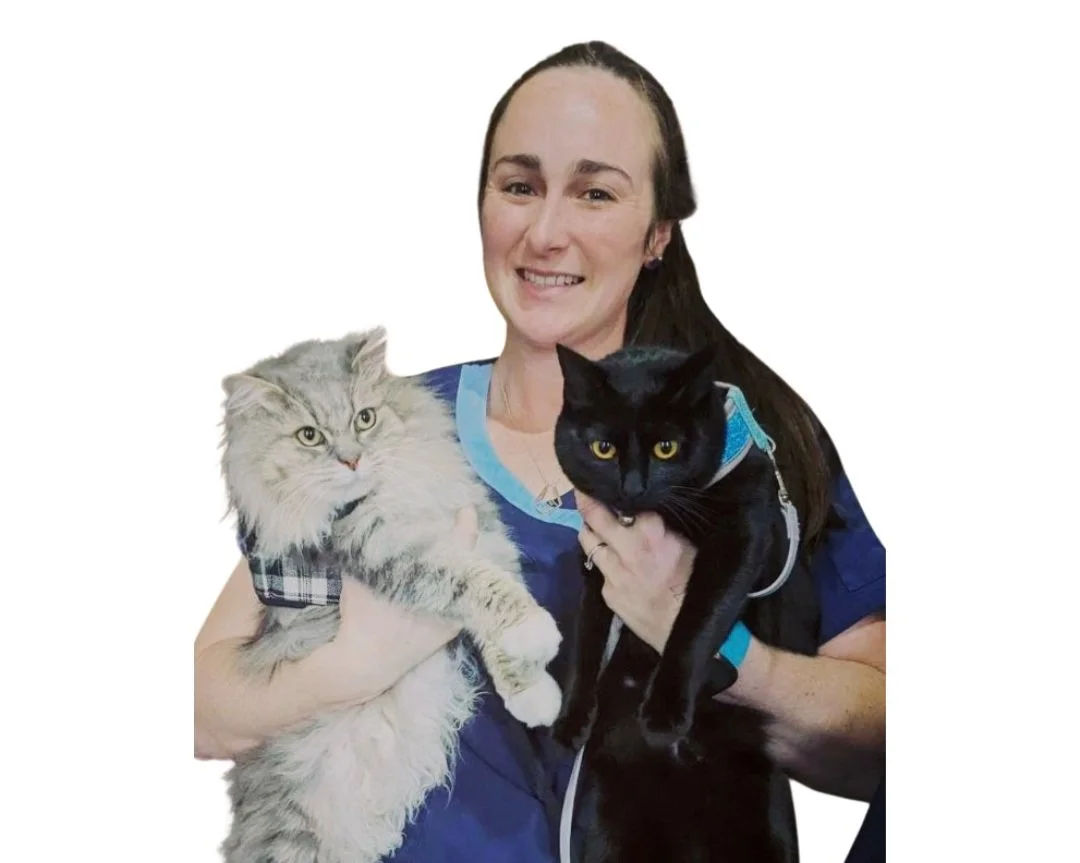 Team — Morpeth Veterinary Hospital