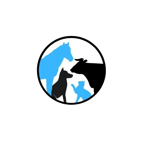 Careers — Morpeth Veterinary Hospital