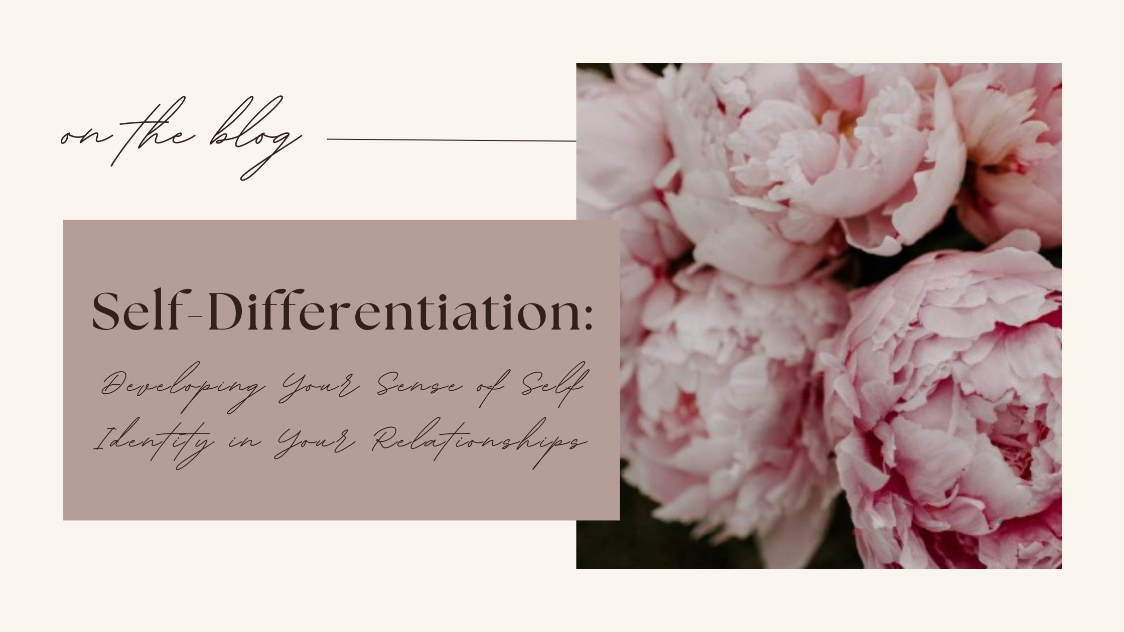 Self-Differentiation: Developing Your Sense of Self Identity in Your ...