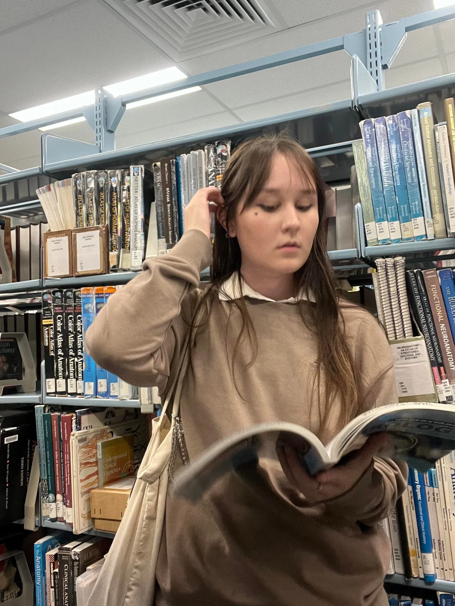 about ana neu — ananeu