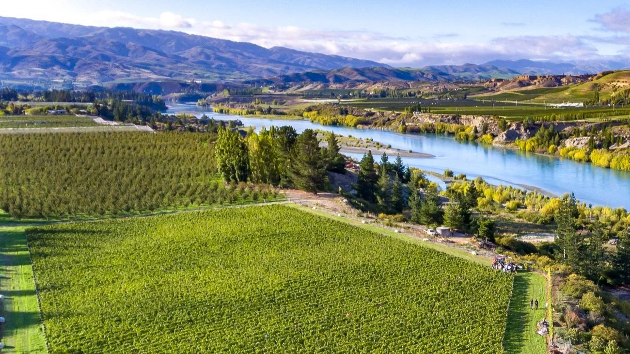 Our Wine — Centralis Wines | Pinot Noir | Central Otago | New Zealand
