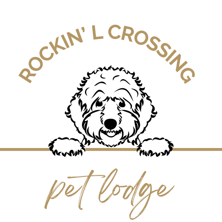 CONTACT — ROCKIN' L CROSSING