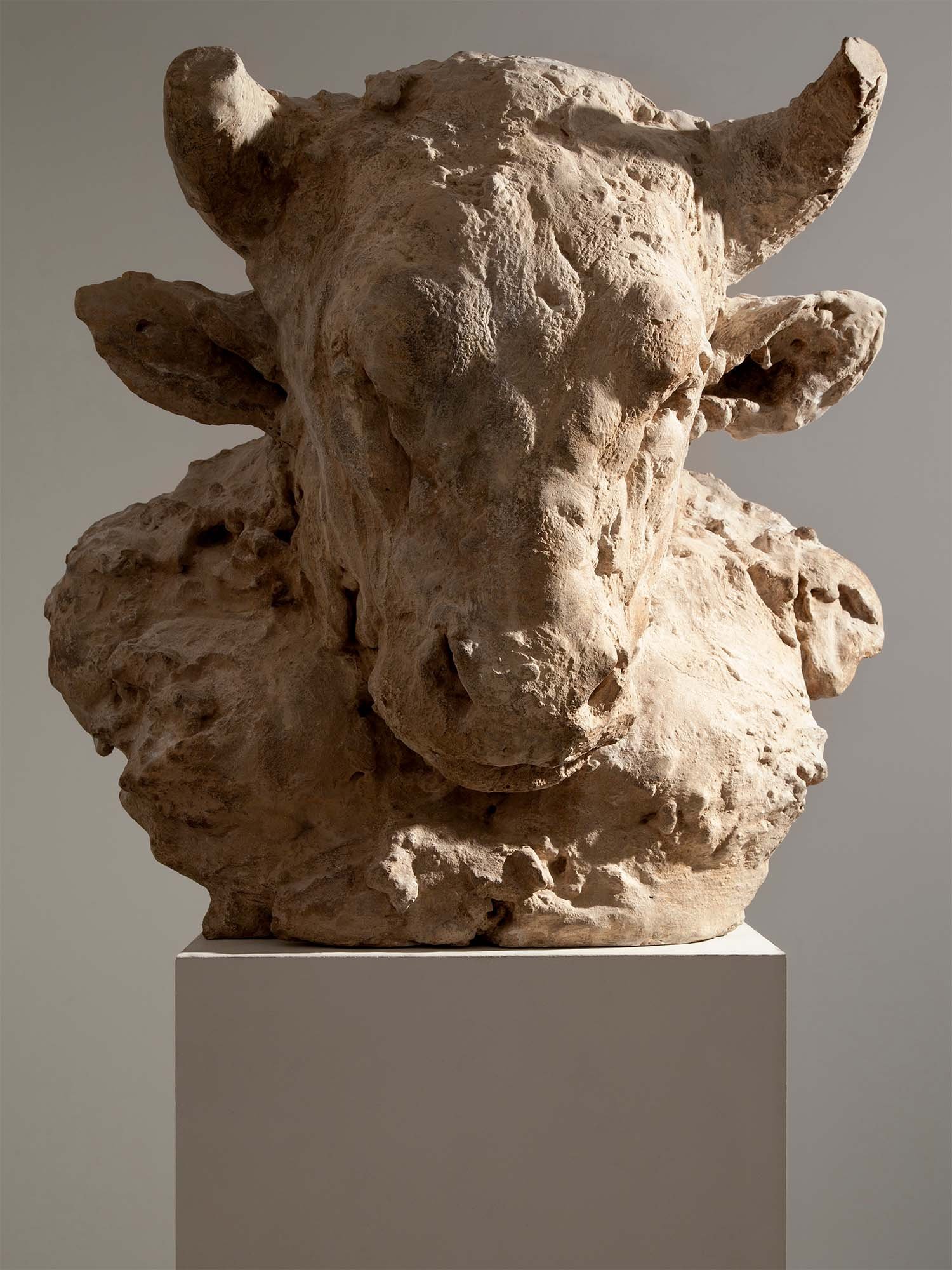 Nicola Hicks | Acclaimed British Sculptor Exhibited Worldwide