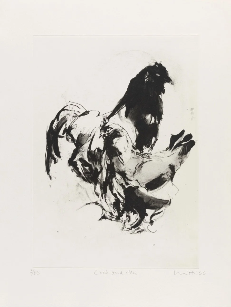Prints | Nicola Hicks