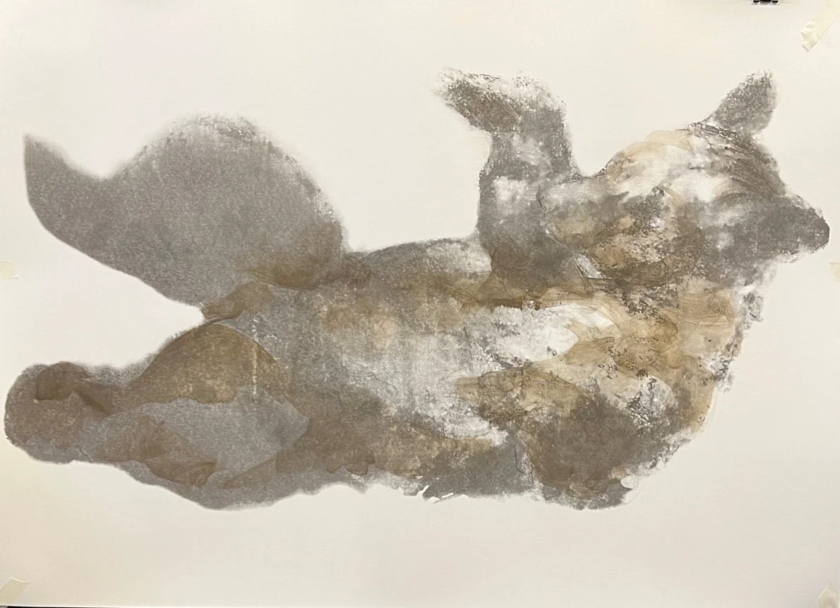 Prints | Nicola Hicks